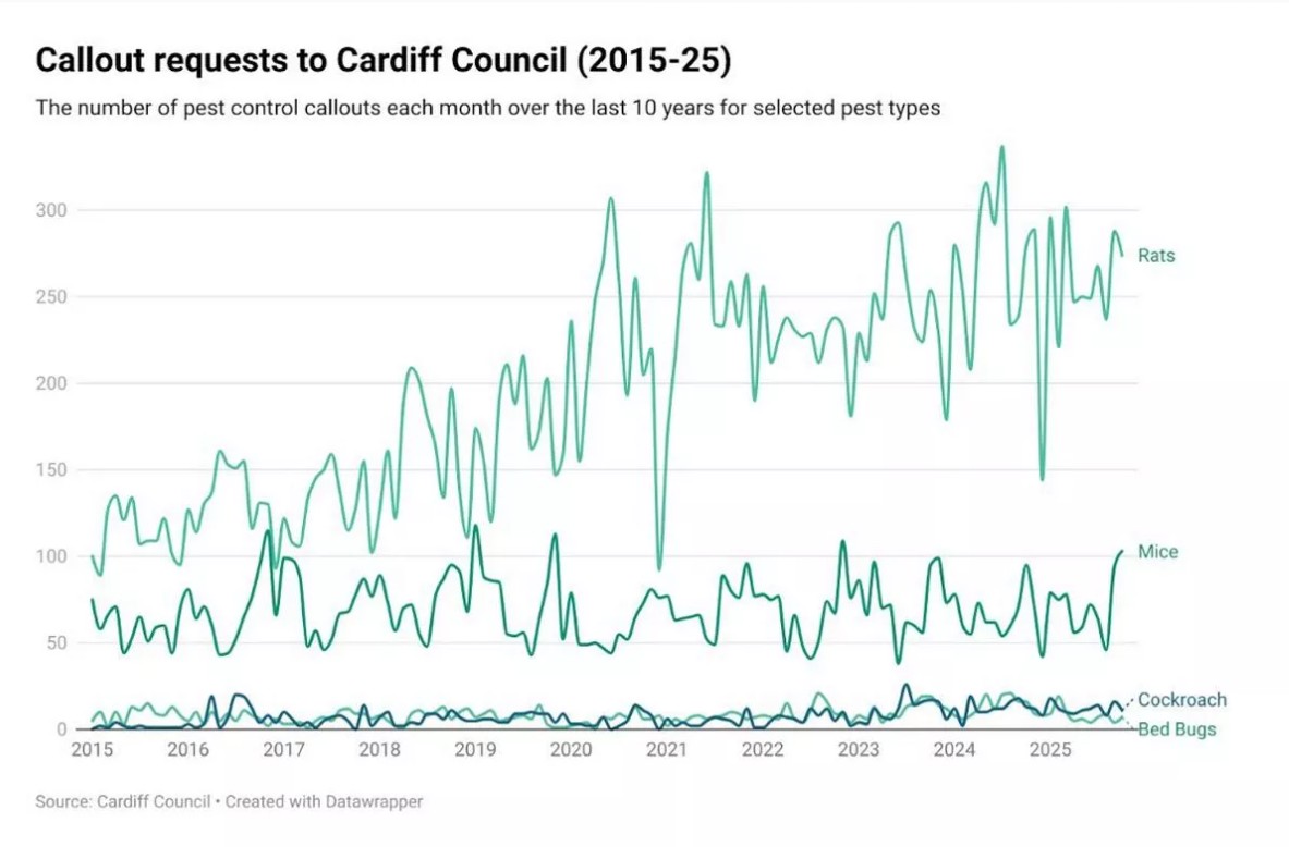 Cockroach infestation found in Cardiff student flat, and experts warn ...